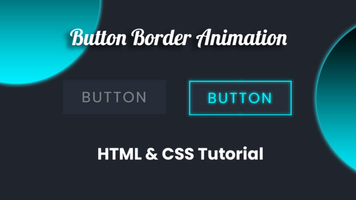 Button Border Animation On Hover Effects In Html And Css 6037